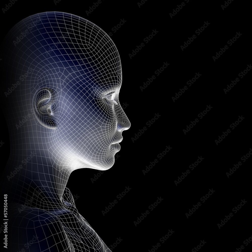Conceptual wireframe mesh woman face Stock Illustration | Adobe Stock