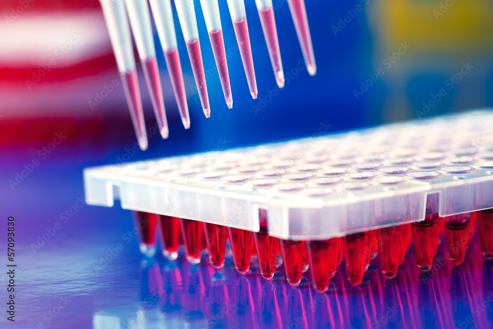 DNA samples are loaded to 96-well plate for PCR analysis Stock Photo ...