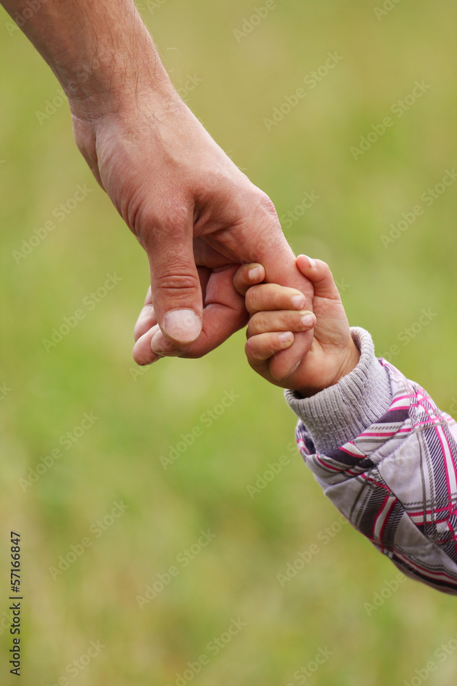 parent holds the hand of a small child Stock Photo | Adobe Stock
