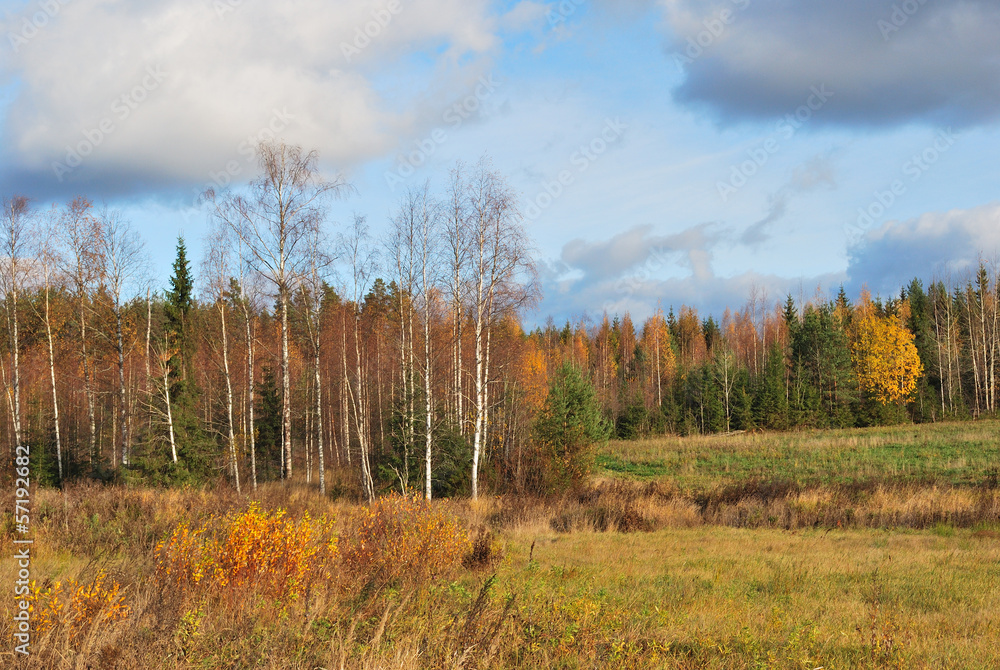 October in Finland Stock Photo | Adobe Stock