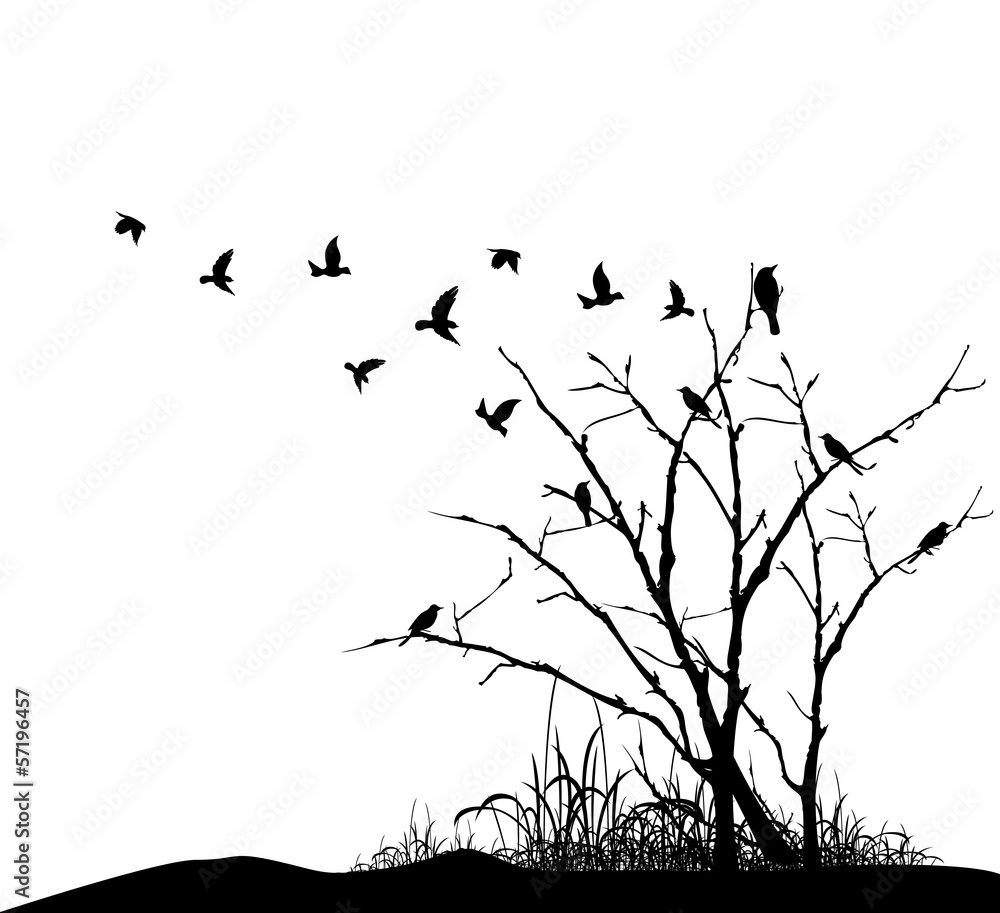 Bird Tree Silhouette