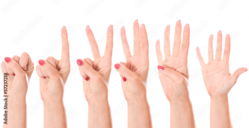 Counting hands (0 to 5) Stock Photo | Adobe Stock
