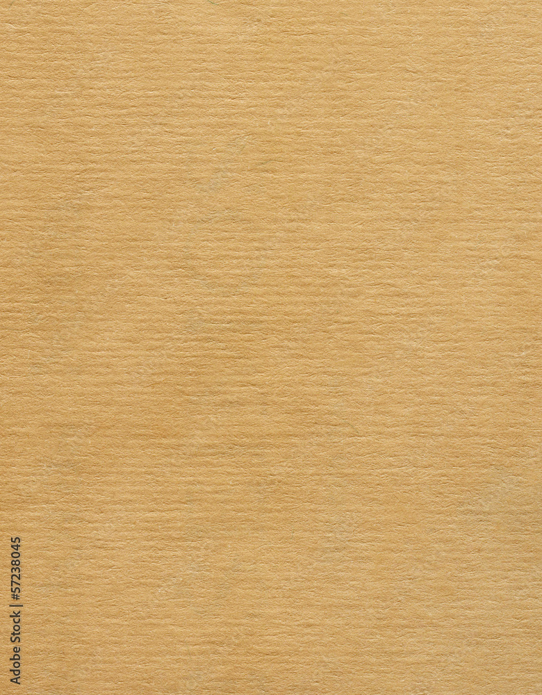 Grainy Paper Texture