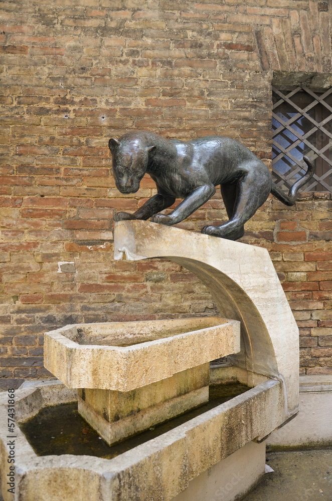 Simbolo della contrada della Pantera, Siena 2 Stock Photo | Adobe Stock