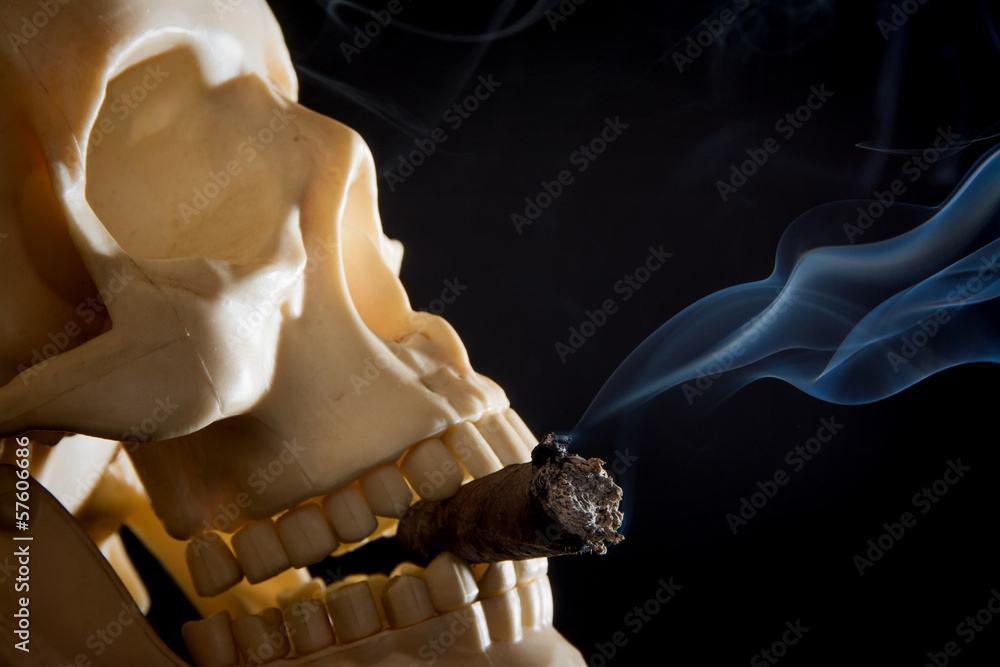 Smoking skull Stock Photo | Adobe Stock