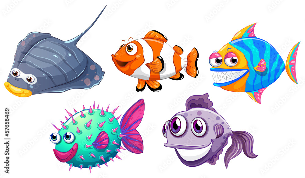 Five different fishes Stock Vector | Adobe Stock