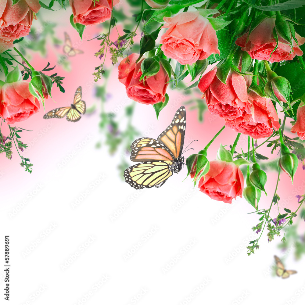 Bouquet of delicate roses and butterfly, floral background Stock Photo ...