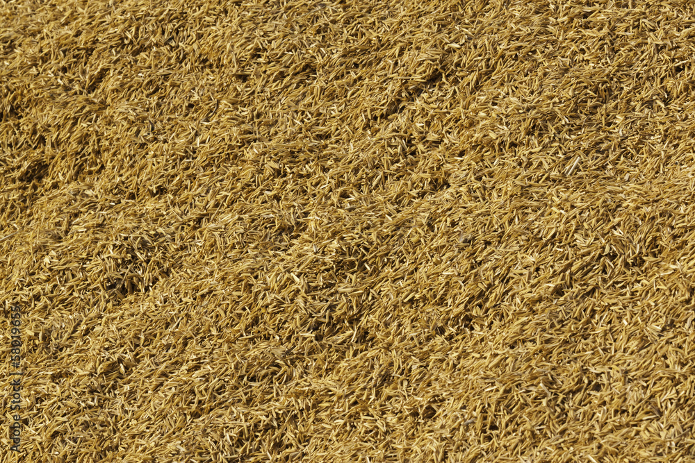 Husk background Stock Photo | Adobe Stock