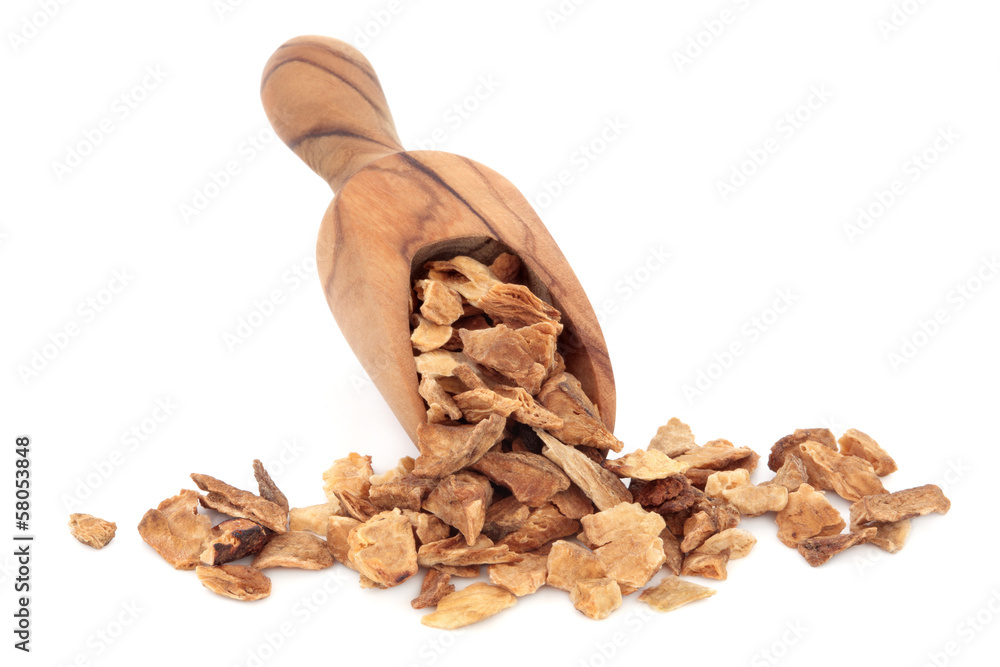 Chicory Root Stock Photo | Adobe Stock