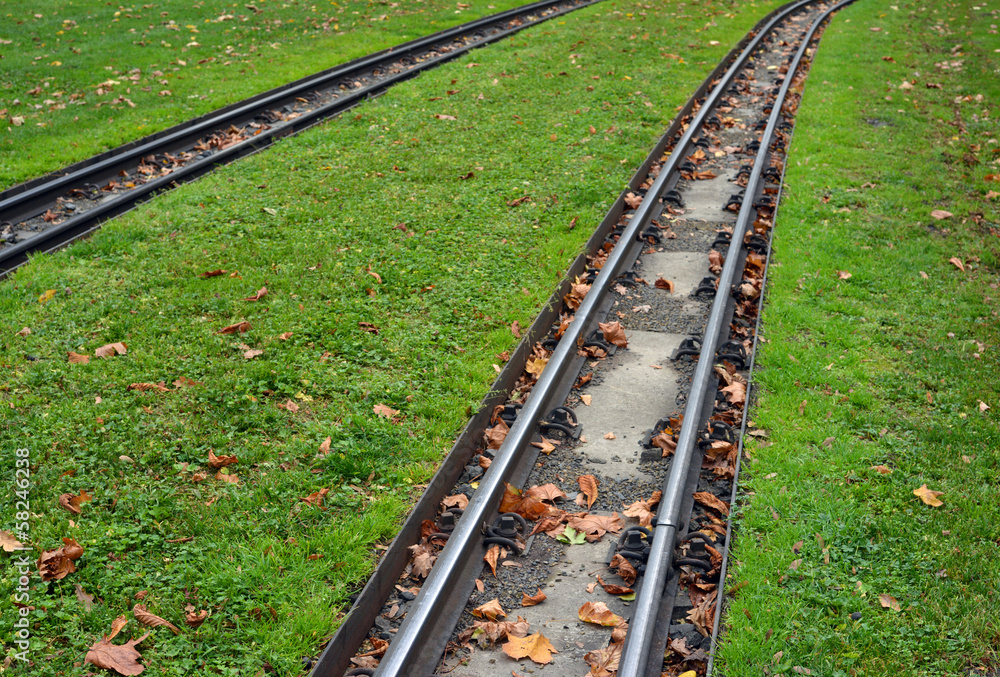 Schmalspurbahn Schienen Stock Photo | Adobe Stock