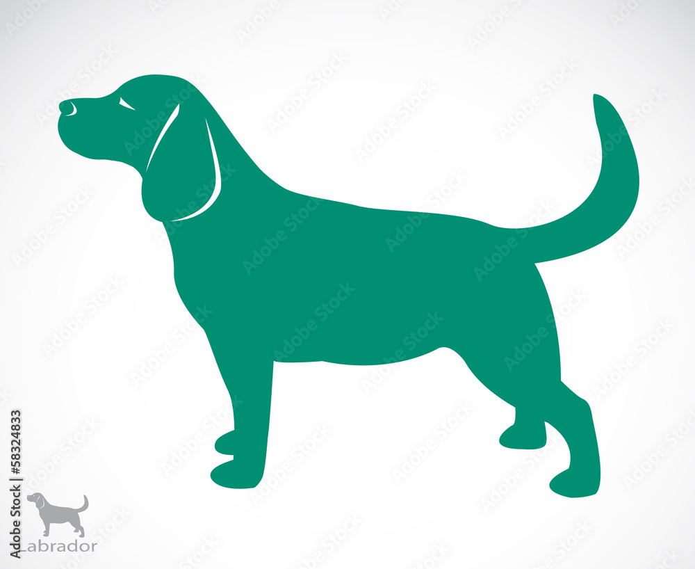 Vector image of an dog labrador Stock Vector | Adobe Stock