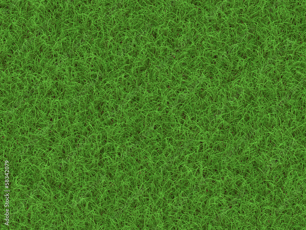 lush green grass texture. wallpapers pattern Stock Photo | Adobe Stock