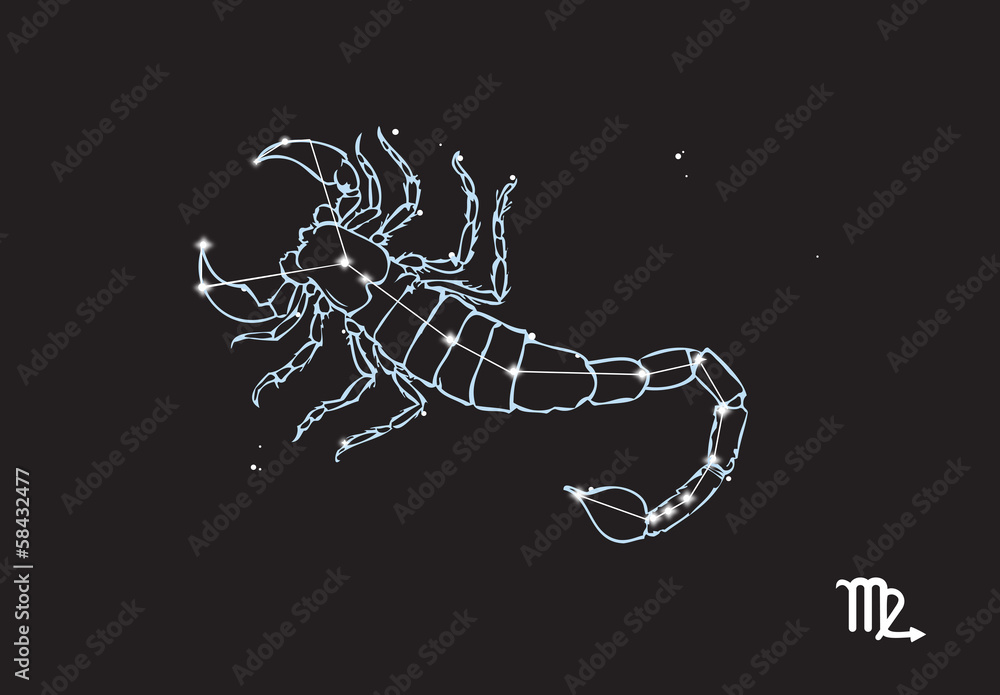 Scorpio constellation Stock Vector | Adobe Stock