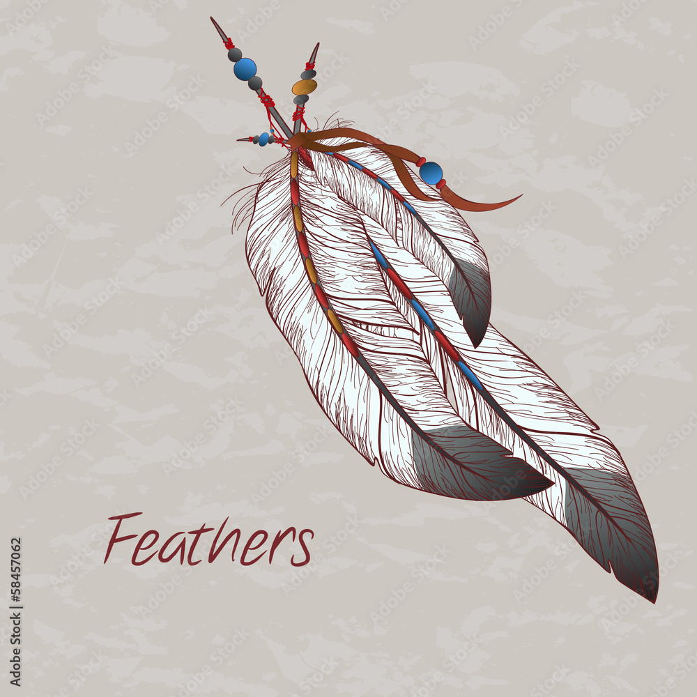Vector colorful illustration of feathers Stock Vector | Adobe Stock