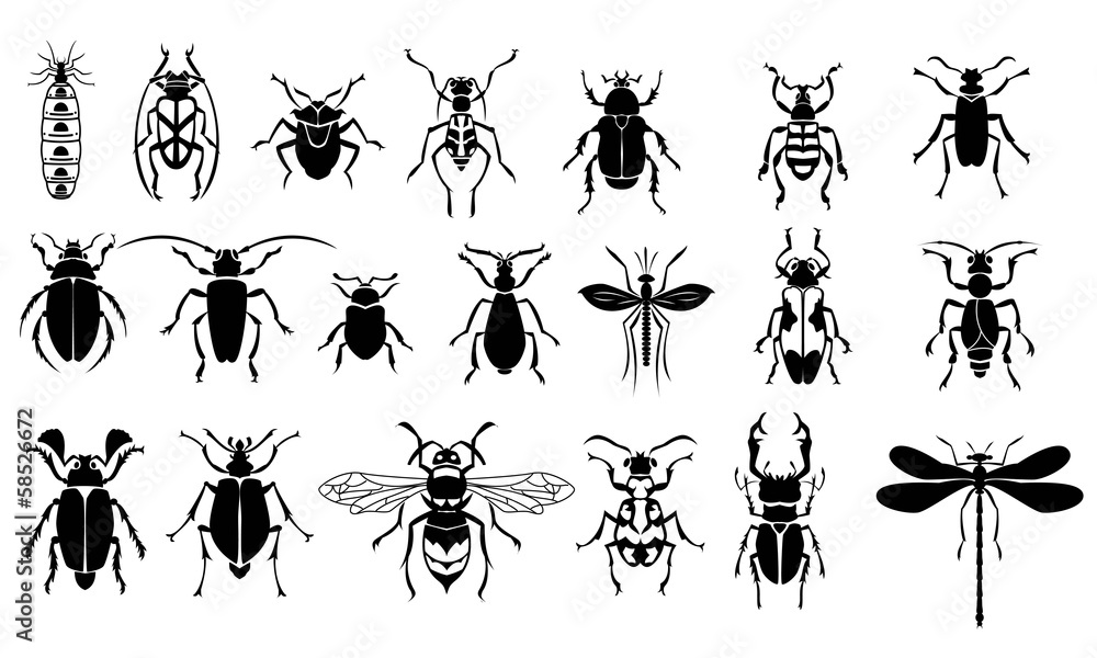 Insects vector set Stock Vector | Adobe Stock
