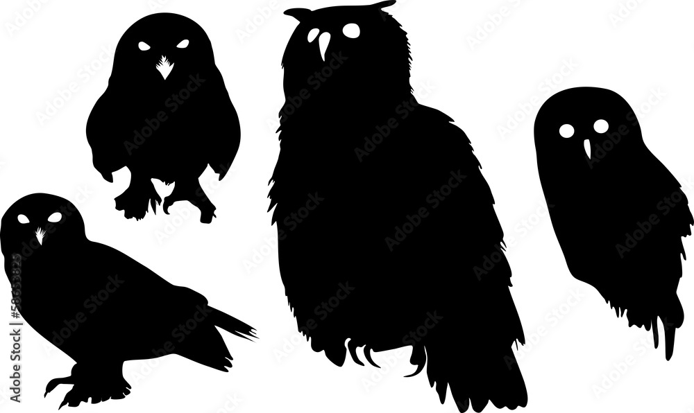 Silhouettes of owls Stock Vector | Adobe Stock