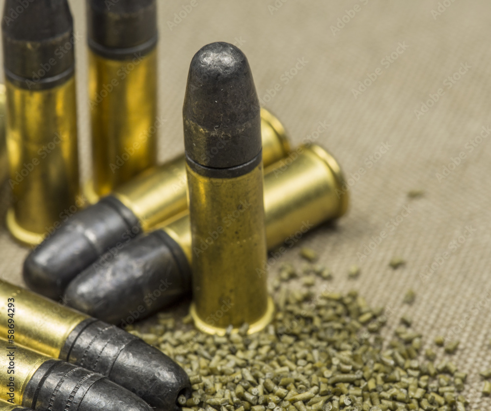 .22 caliber Long rifle with smokeless powder on canwas Stock Photo ...