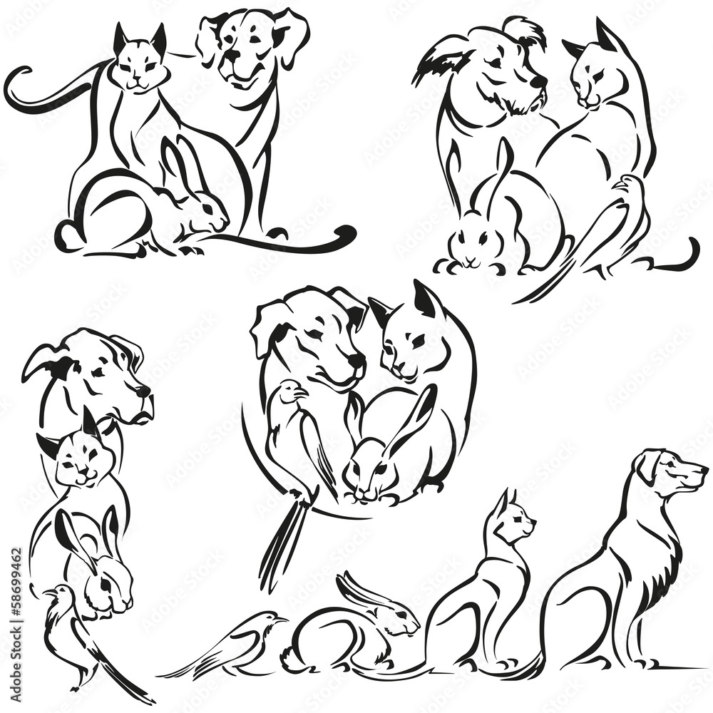 dog, cat, rabbit and bird Stock Vector | Adobe Stock