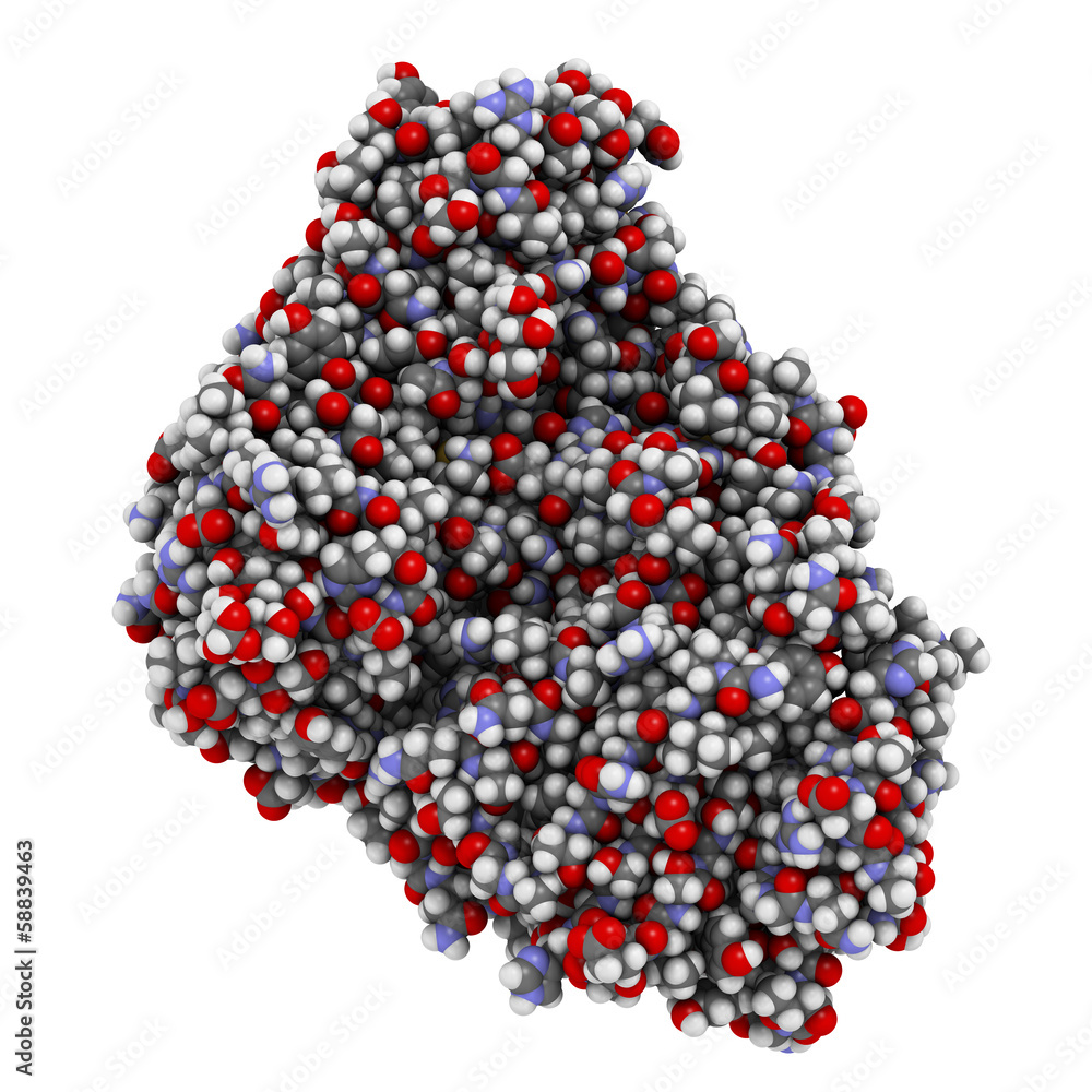 Ricin castor bean plant poisonous protein, chemical structure. Stock ...