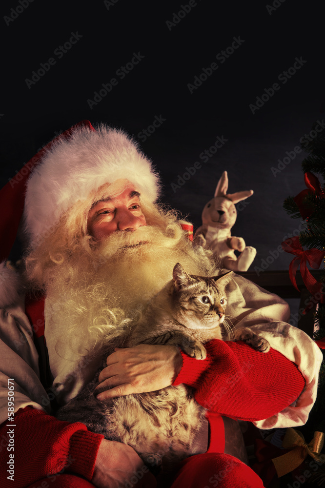 Santa Claus with his cat at home Stock Photo | Adobe Stock