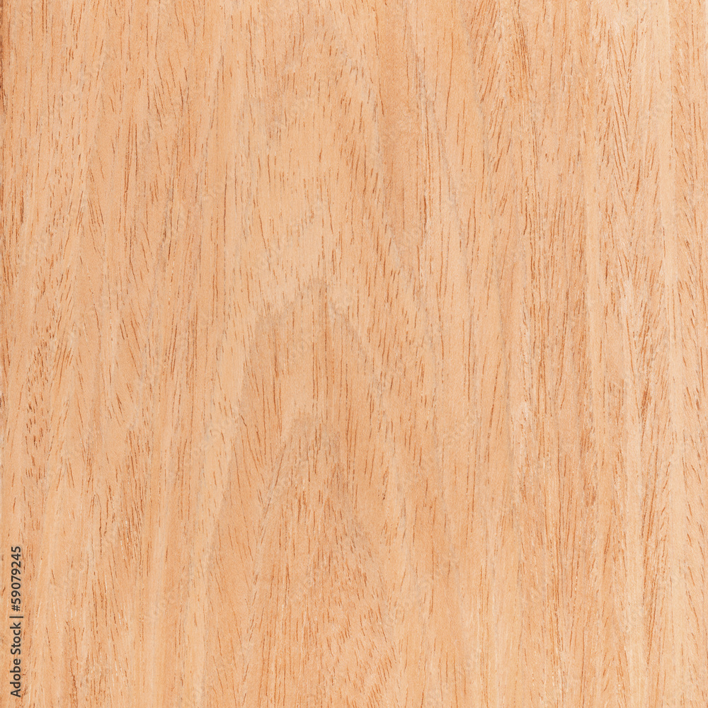Texture of walnut, wood veneer Stock Photo | Adobe Stock