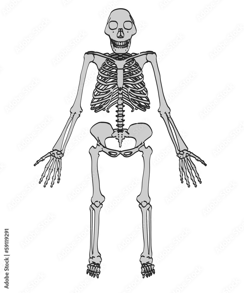 cartoon image of australopithecus afarensis ilustración de Stock ...