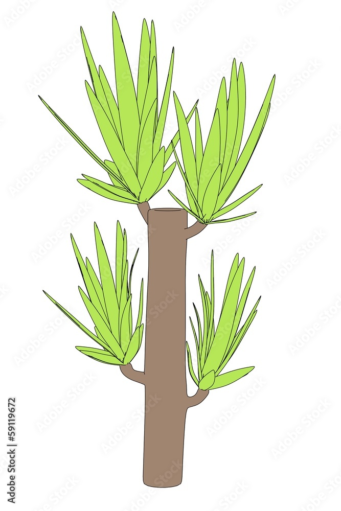 cartoon image of yucca tree Stock Photo | Adobe Stock
