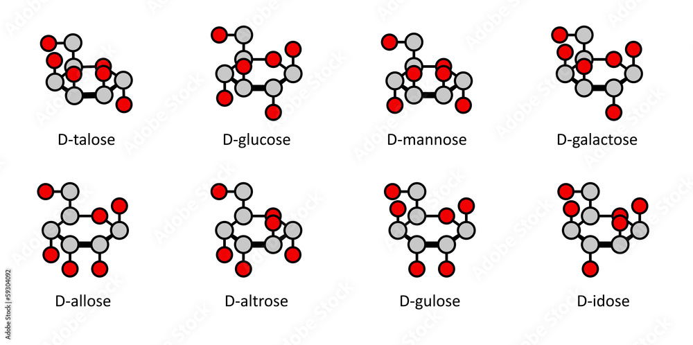 D-aldohexose sugars: allose, altrose, glucose, mannose, gulose Stock ...