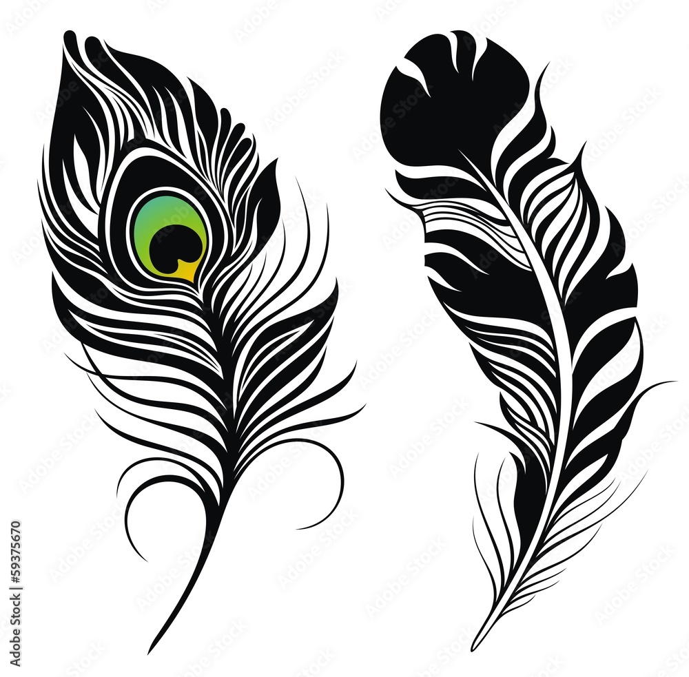 Set of feathers Stock Vector | Adobe Stock