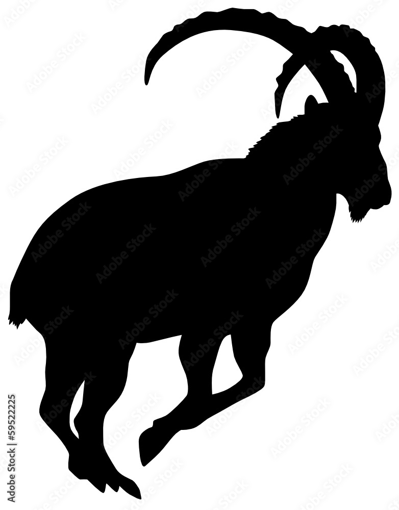 Steinbock Stock Vector | Adobe Stock