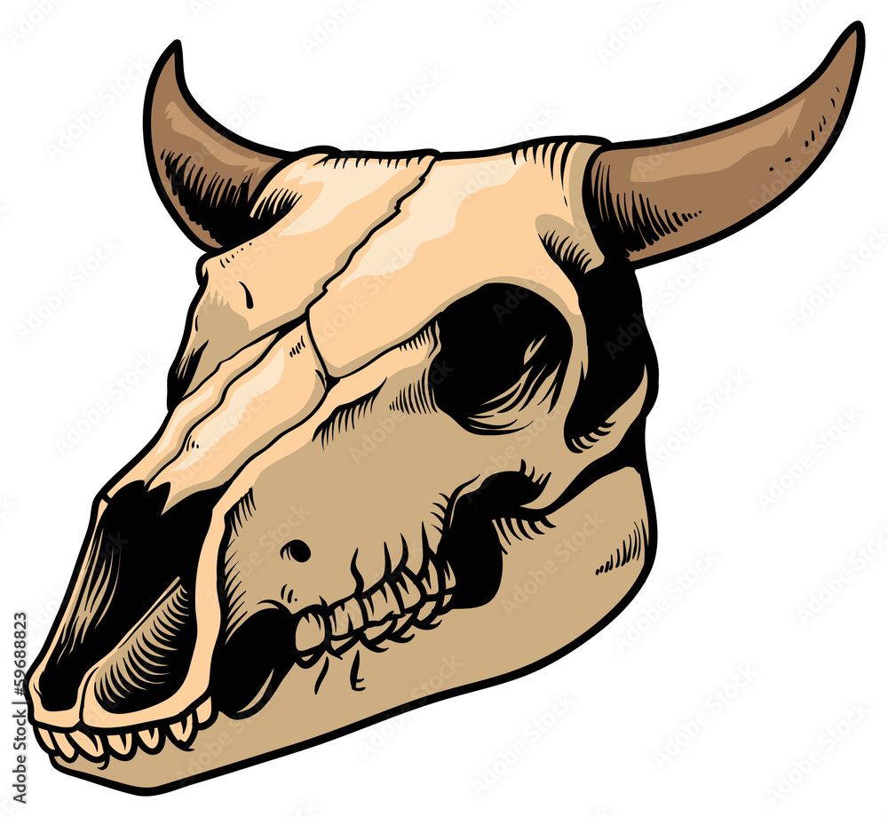 cow skull Stock Vector | Adobe Stock