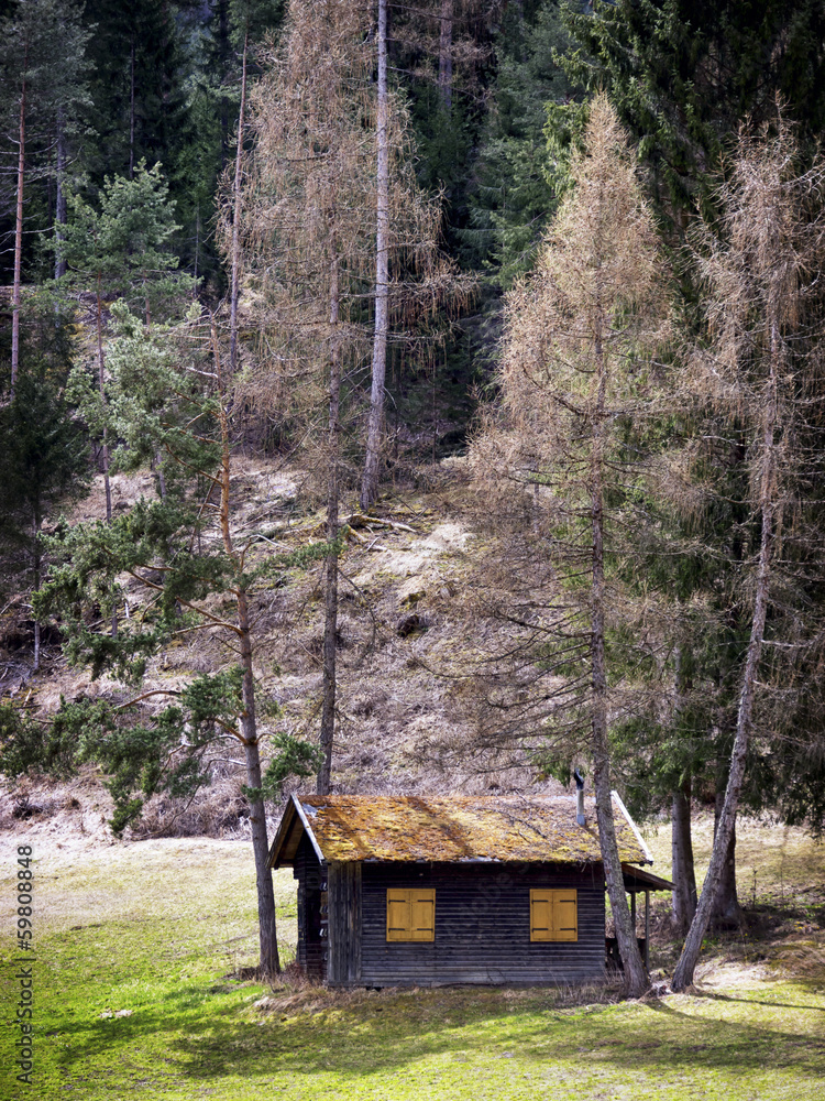 old hut Stock Photo | Adobe Stock