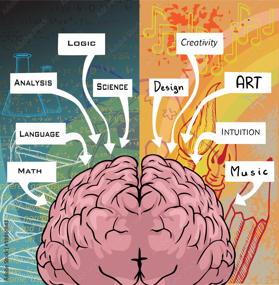 Creativity Brain Side