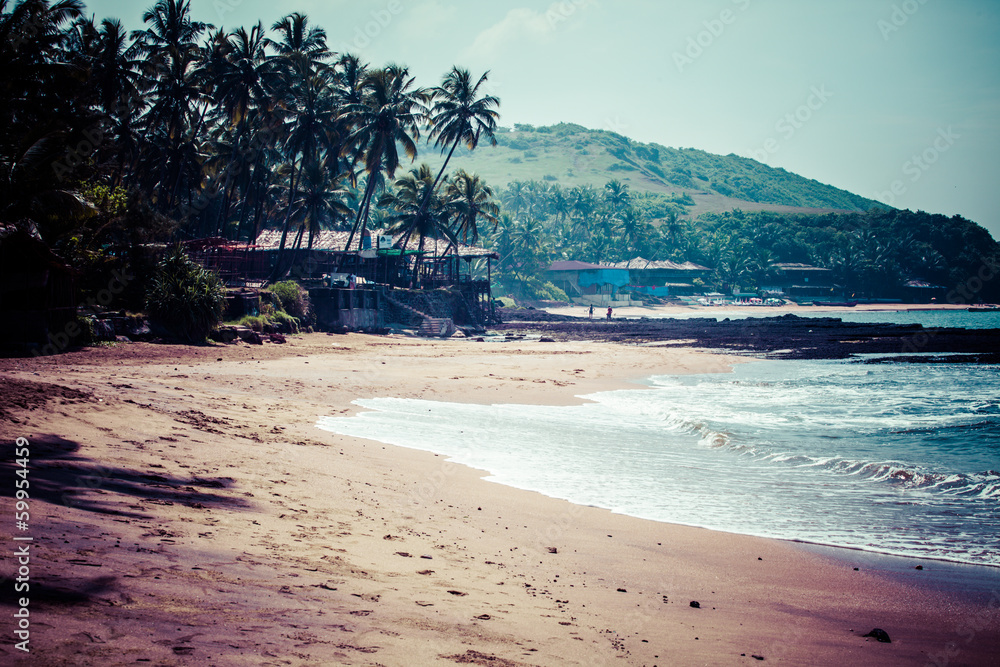 Anjuna beach panorama with white sand and palms,Goa,India Stock Photo ...