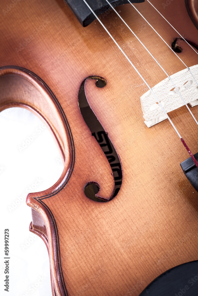 Violin front view isolated on white, vintage Stock Photo | Adobe Stock