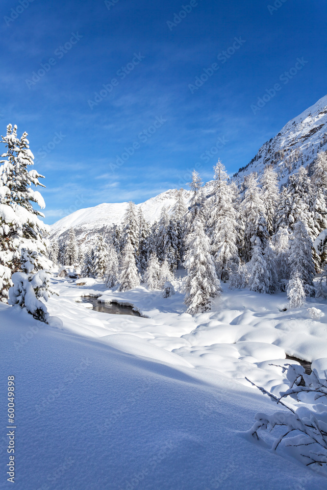 Foto Stock paesaggio alpino innevato | Adobe Stock