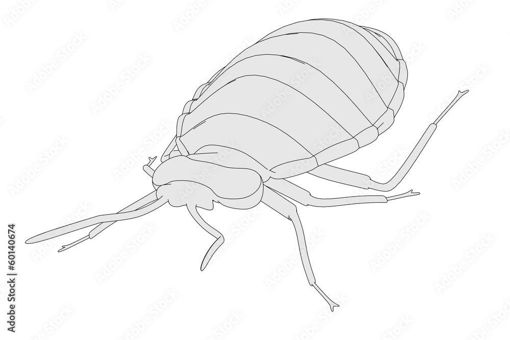 cartoon image of bed bug Stock Illustration | Adobe Stock