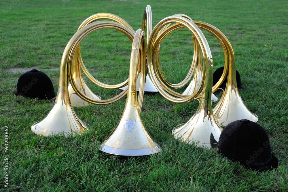 cors de chasse Stock Photo | Adobe Stock