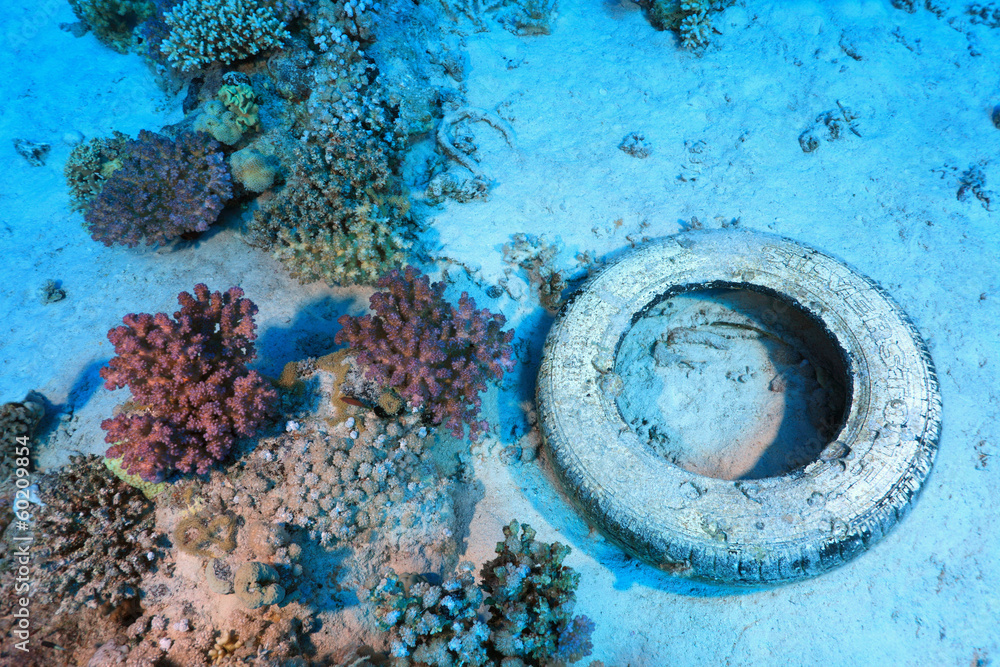 Marine pollution in the tropical reef of the red sea Stock Photo ...
