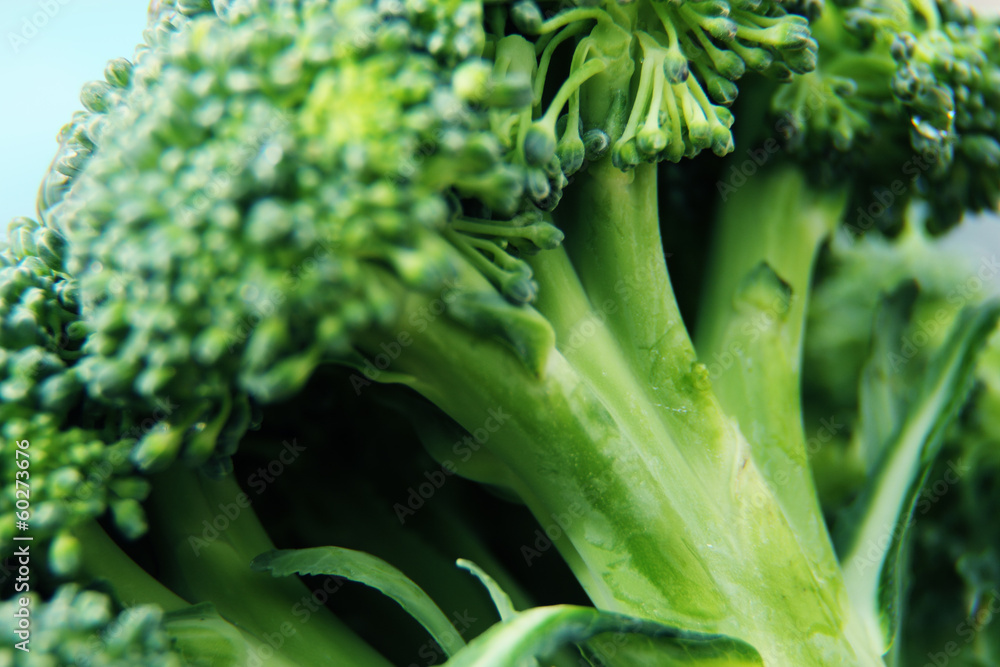 broccoli Stock Photo | Adobe Stock