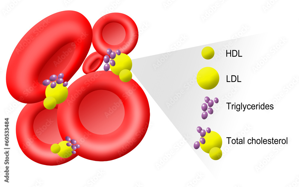 Photo Illustration of cholesterol molecules in blood, Sophia Winters ...