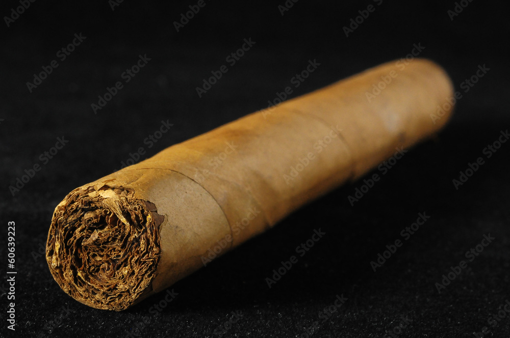 Cuban Brown Havan Cigar Stock Photo | Adobe Stock