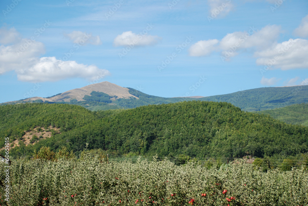 Macedonian Landscape