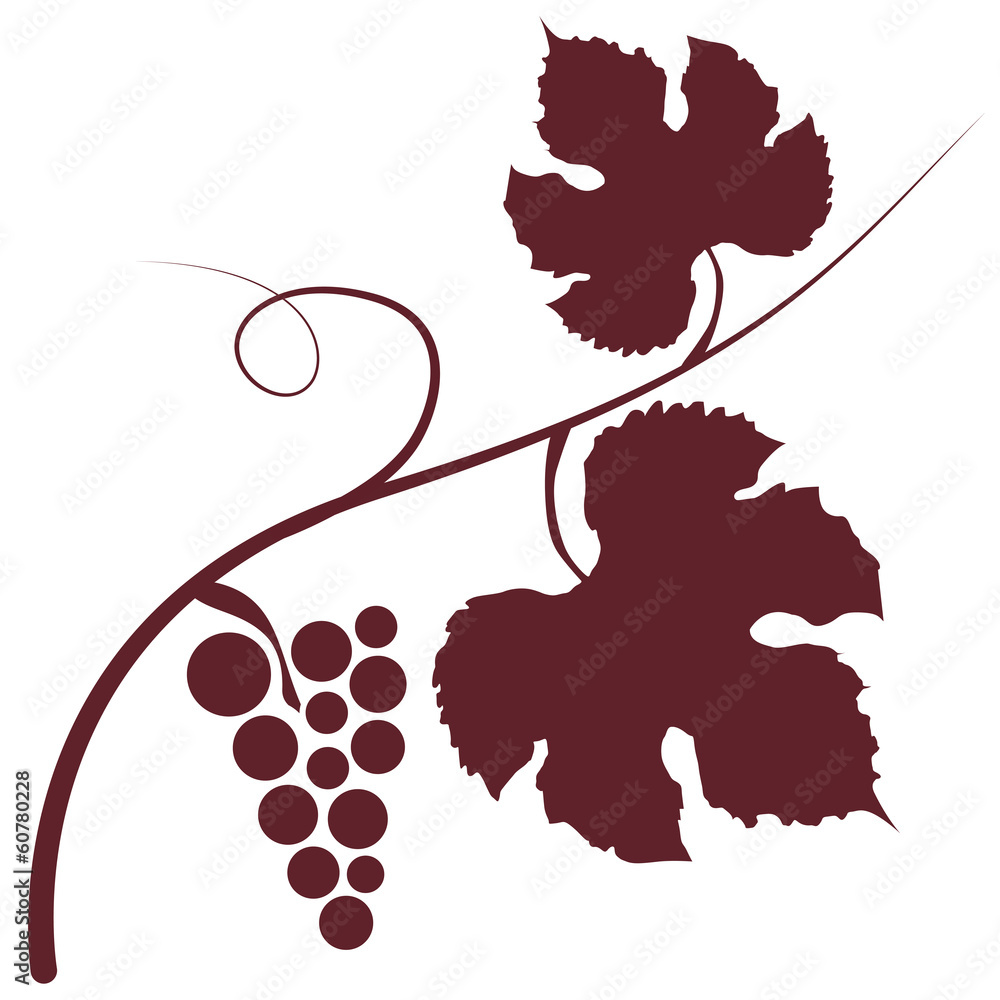 Weinrebe Stock-Vektorgrafik | Adobe Stock