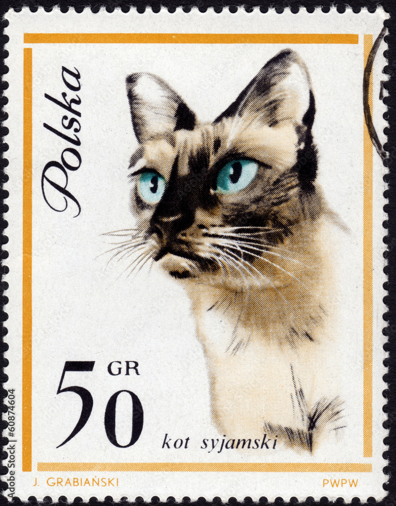 Polish postage stamp showing a sample of a Siamese cat Stock Photo ...