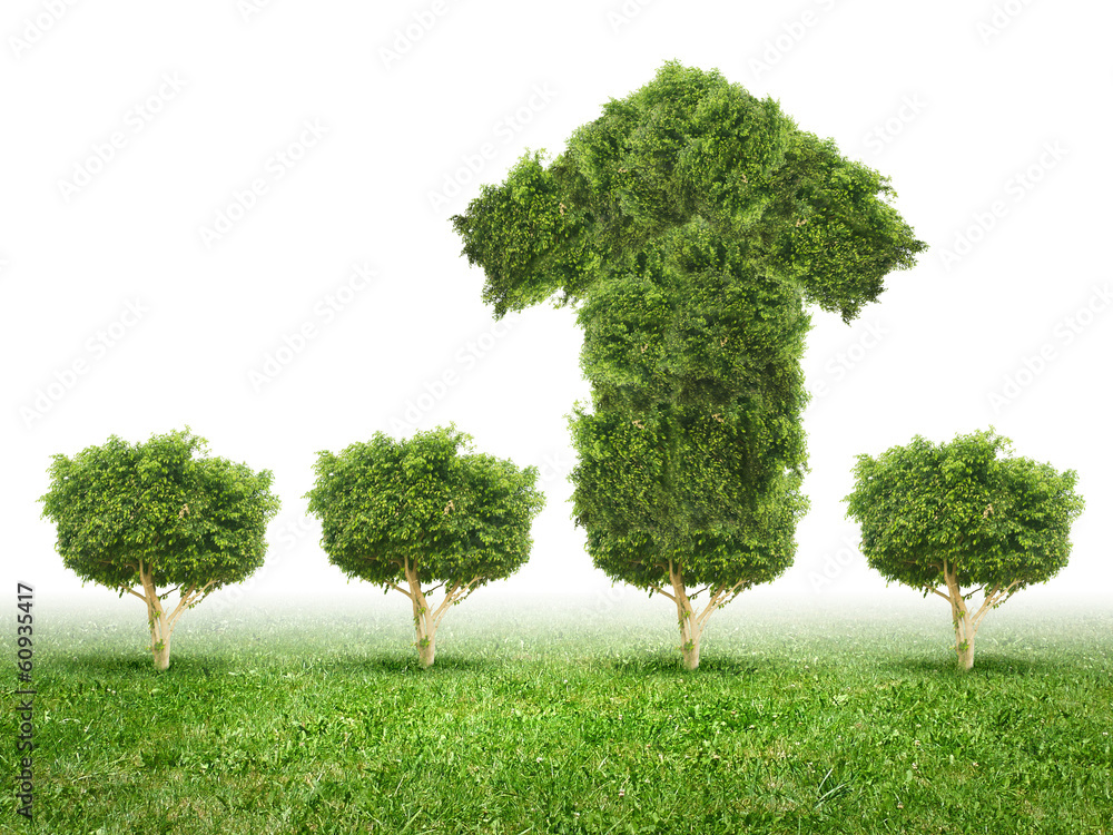 Grass concept Stock Photo | Adobe Stock