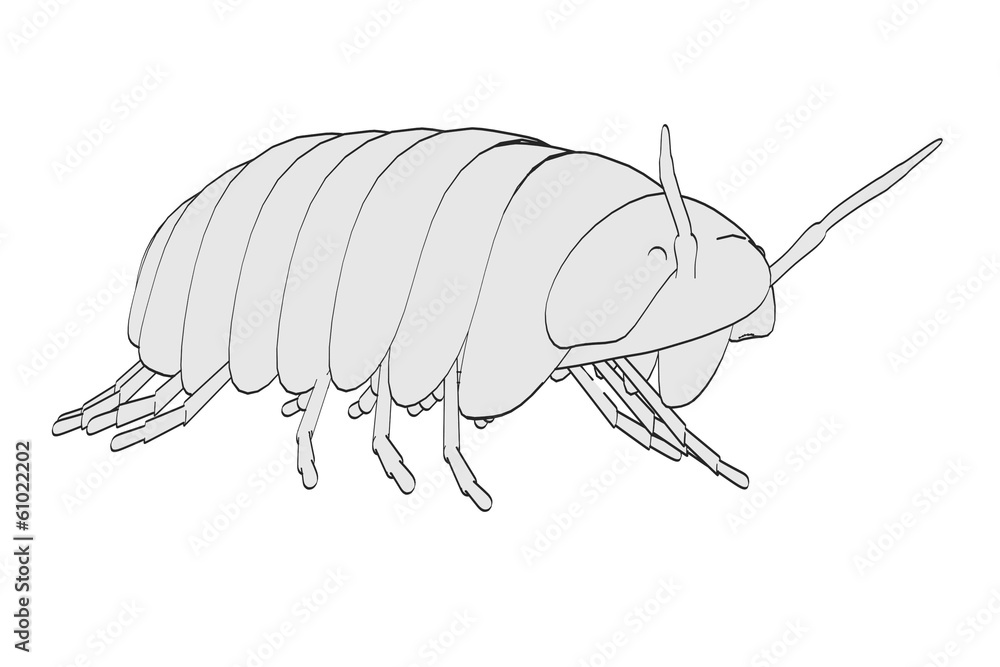 cartoon image of pill bug Stock Illustration | Adobe Stock