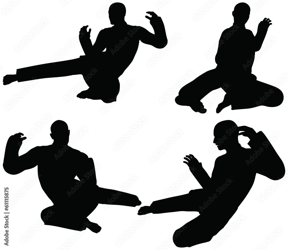 silhouettes of men in flying kick karate poses Stock Vector | Adobe Stock