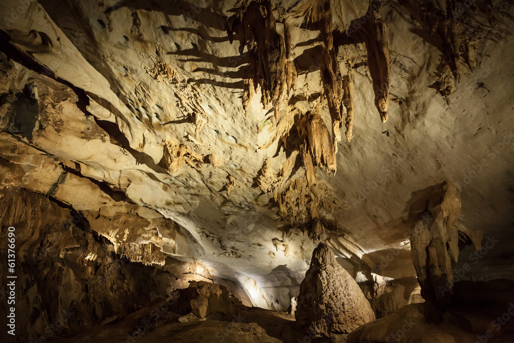 Limestone cave at Gunung Mulu national park malaysia foto de Stock ...