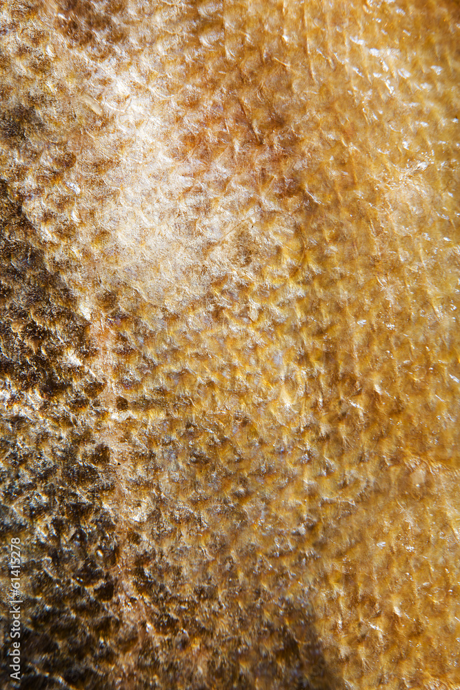 Salmon fish scales grunge texture background Stock Photo | Adobe Stock